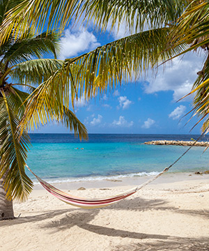 Winterzon vakantie: 5 goede redenen - dé VakantieDiscounter